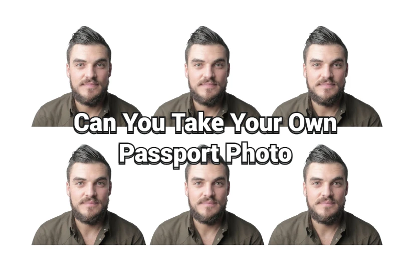 Free AI Passport Photo Maker: Make Passport Photos Online - AI Ease