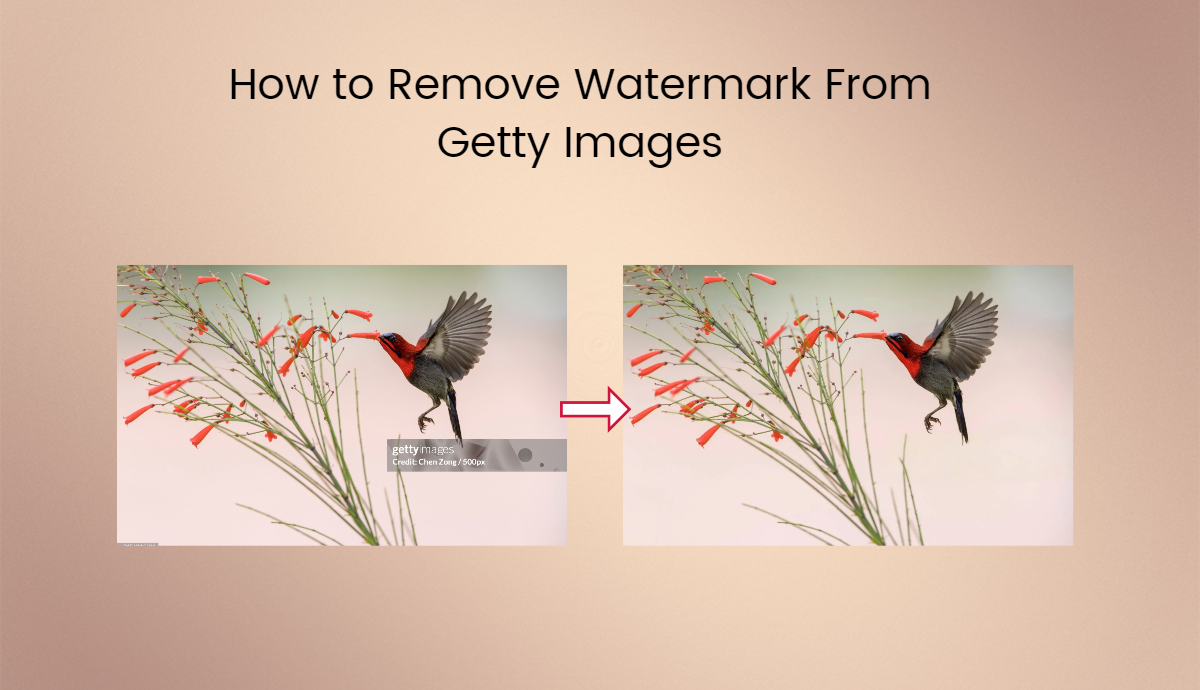 How to Remove Watermark from Getty Images: Quick Guide - AI Ease