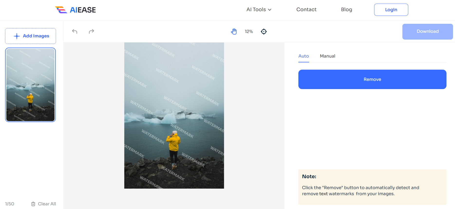 How to Quickly Remove Text Watermark in AI Ease for Free
