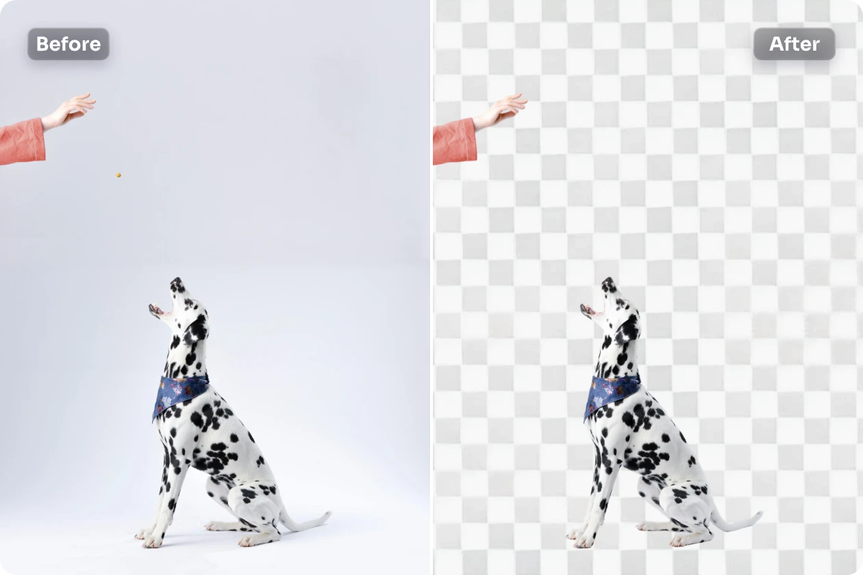 Remove White Background From Image Online With AI For Free AI Ease